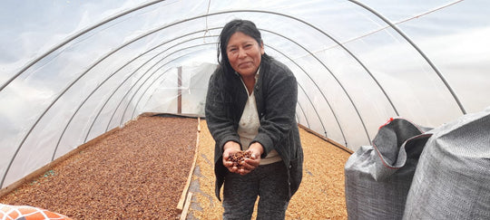 What is a Micro-lot Coffee? – West Berkshire Roastery