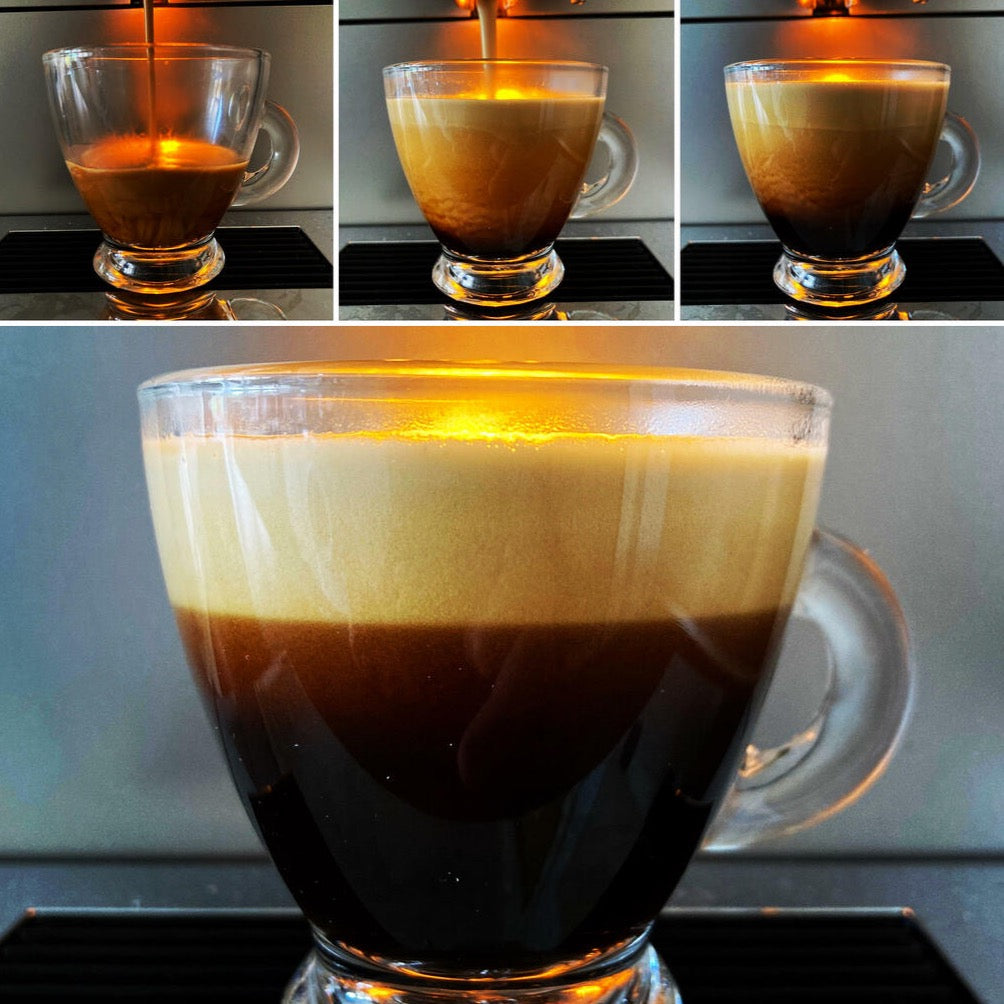 Organic Coffee Beans | Next Day Delivery – West Berkshire Roastery